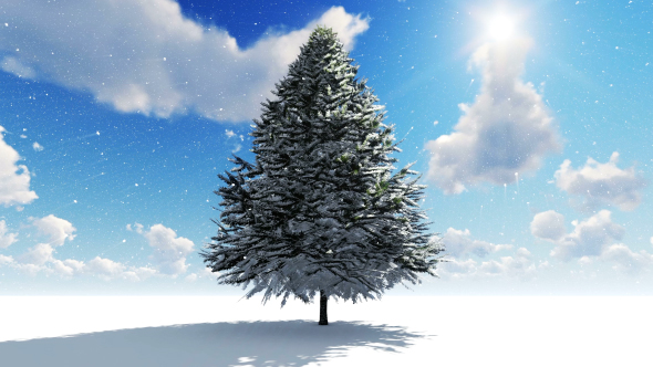 Christmas Tree, Motion Graphics | VideoHive