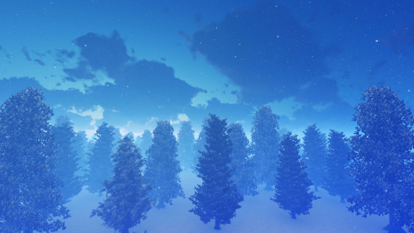 The Movement of Winter Forest, Motion Graphics | VideoHive