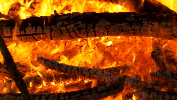 Big Campfire at Night in the Forest, Stock Footage | VideoHive