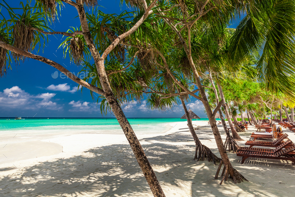 Beach beds in the shade of palm trees on tropical beach in Maldi Stock ...