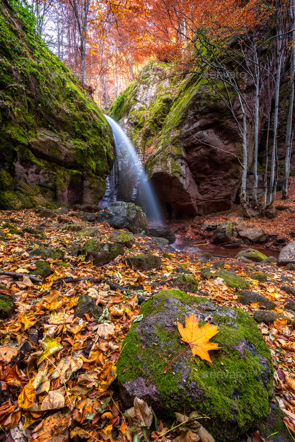 Waterfall in autumn forest Stock Photo by Jasmina_K | PhotoDune