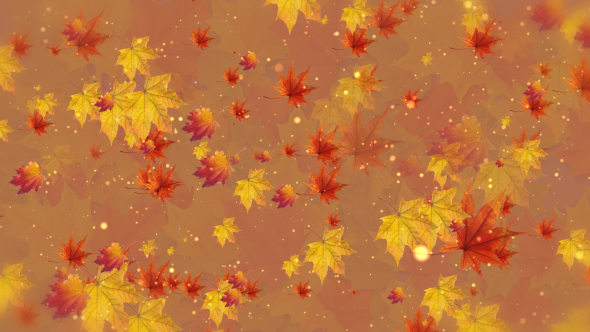 ThanksGiving BG, Motion Graphics | VideoHive