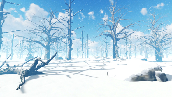Winter in the Forest, Motion Graphics | VideoHive