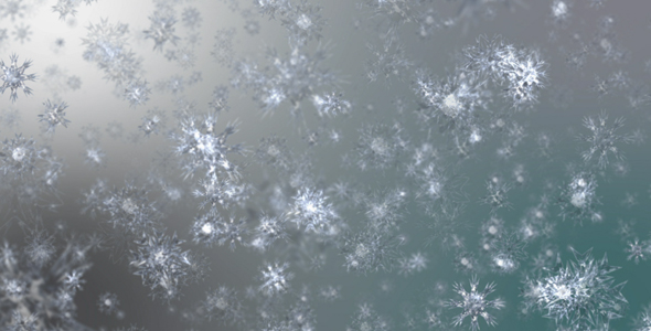 Winter Frost Snowflakes, Motion Graphics | VideoHive