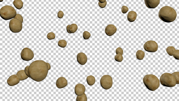 Potatoes Rain, Motion Graphics | VideoHive