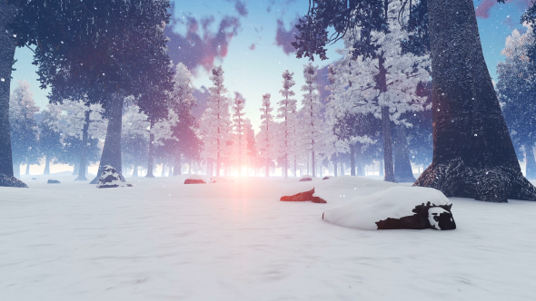 Snowy Jungle, Motion Graphics | VideoHive