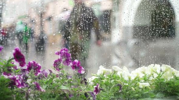 Rain Day on City Street. Crowd of People with Umbrellas in Rain Going ...