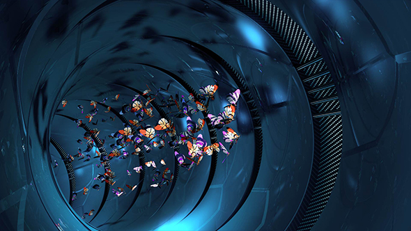 Flying Butterflies in Looping BG, Motion Graphics | VideoHive