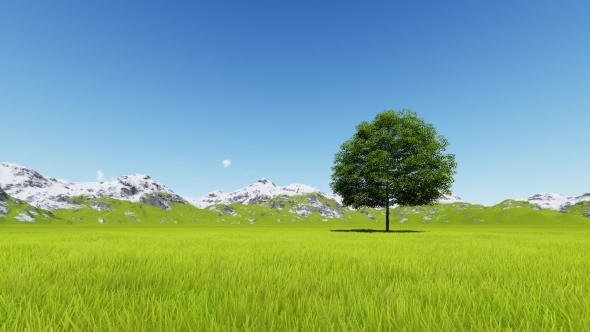 Single Tree Green Grass and Mountains, Motion Graphics | VideoHive