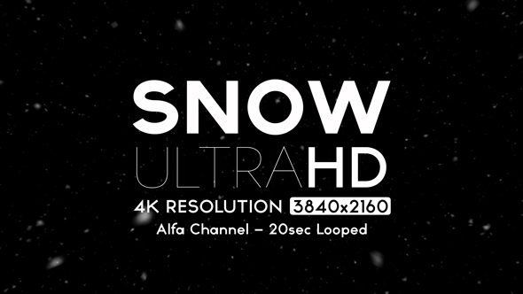 Snow, Motion Graphics | VideoHive