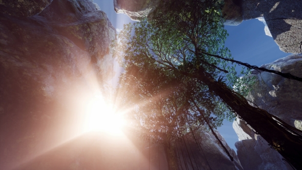 Sun Light Inside Mysterious Cave, Motion Graphics | VideoHive