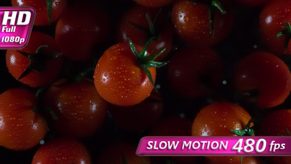 Thrown Tomatoes, Stock Footage | VideoHive