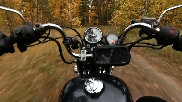 Rider on a Chopper Driving on the Autumn Forest, Stock Footage | VideoHive