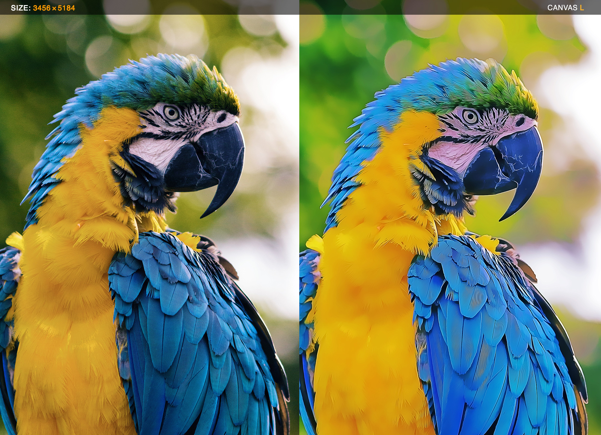 Realistic Painting Photoshop Action, Add-ons | GraphicRiver