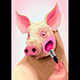 Pig is Applying the Blush on her Cheek, Vectors | GraphicRiver