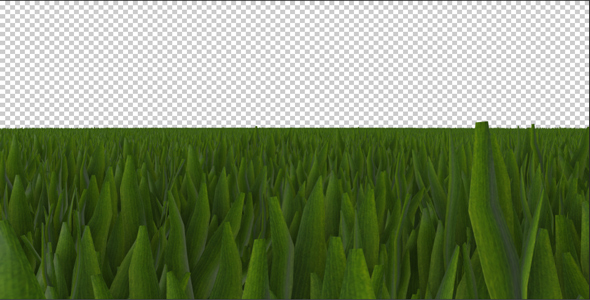 Grass, Motion Graphics | VideoHive
