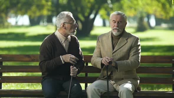 Two Old Men Emotionally Talking and Arguing, Disagreement and ...