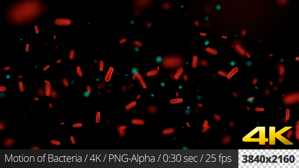 Motion of Bacteria, Motion Graphics | VideoHive