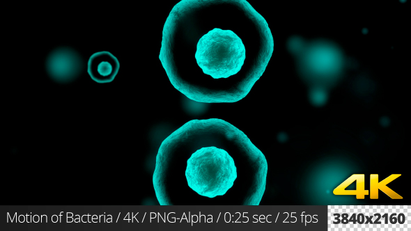 Motion of Bacteria, Motion Graphics | VideoHive