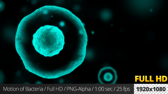 Motion of Bacteria, Motion Graphics | VideoHive