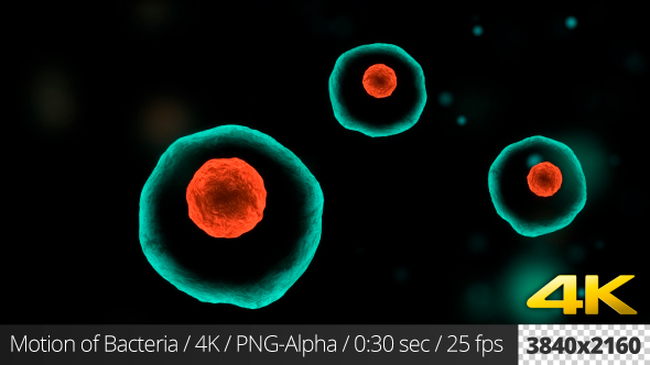 Motion of Bacteria, Motion Graphics | VideoHive