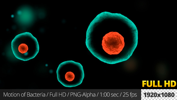 Motion of Bacteria, Motion Graphics | VideoHive