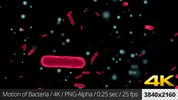 Motion of Bacteria, Motion Graphics | VideoHive