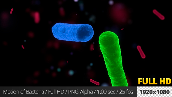 Motion of Bacteria, Motion Graphics | VideoHive