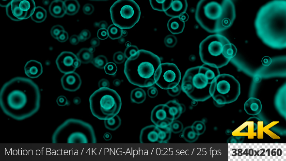 Motion of Bacteria, Motion Graphics | VideoHive
