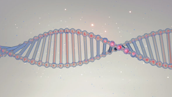 Double Helix Strand of DNA, Motion Graphics | VideoHive