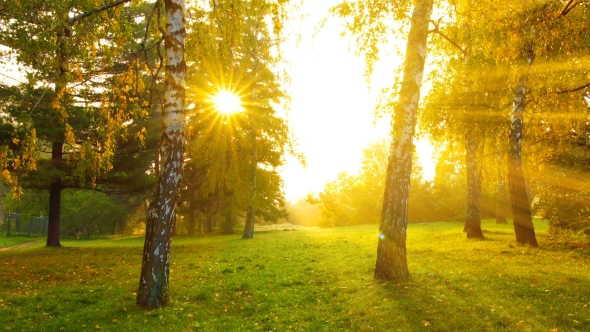 Sun Rays, Stock Footage | VideoHive