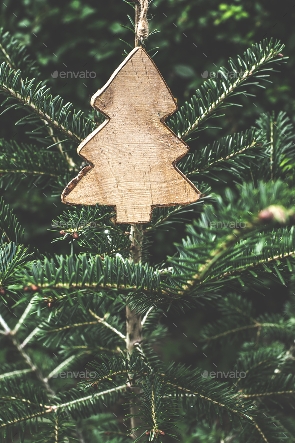 Christmas fir tree cut out Stock Photo by deyangeorgiev | PhotoDune