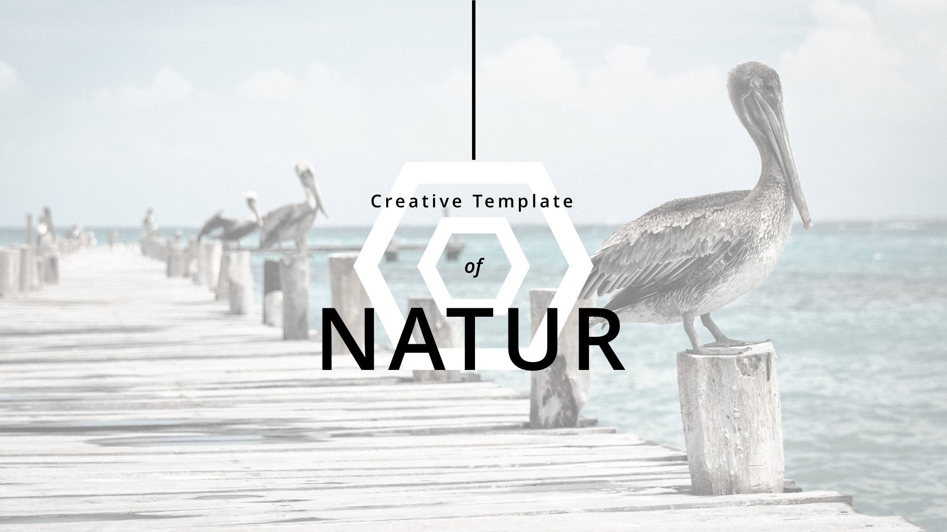 Natur Creative Google Slide Template, Presentation Templates | GraphicRiver