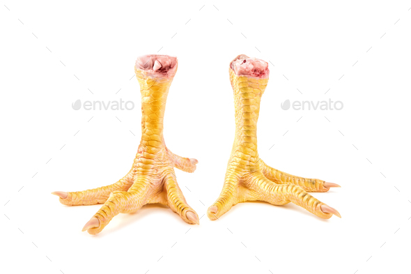 Chicken paws isolated on white Stock Photo by ivankmit | PhotoDune
