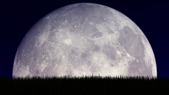 Moon and Grass, Motion Graphics | VideoHive