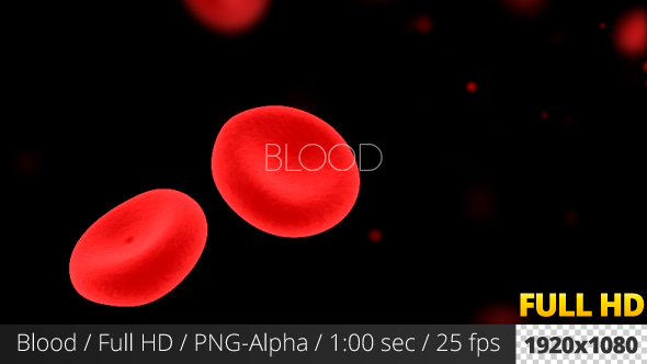Blood, Motion Graphics | VideoHive