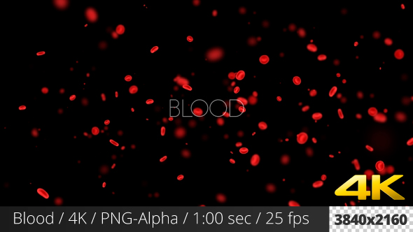 Blood, Motion Graphics | VideoHive