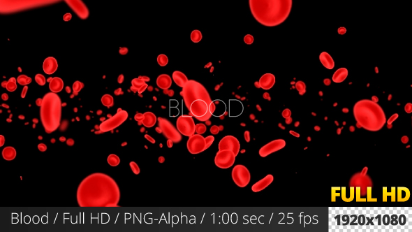 Blood, Motion Graphics | VideoHive