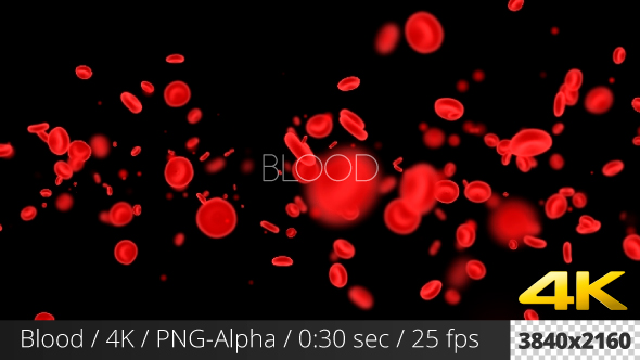 Blood, Motion Graphics | VideoHive