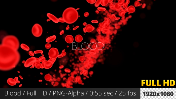 Blood, Motion Graphics | VideoHive