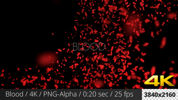 Blood, Motion Graphics | VideoHive