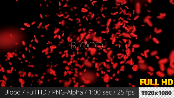 Blood, Motion Graphics | VideoHive