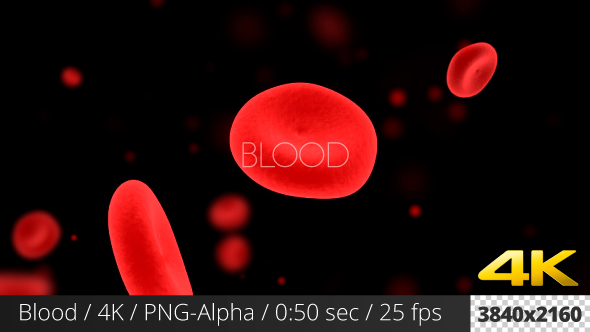 Blood, Motion Graphics | VideoHive