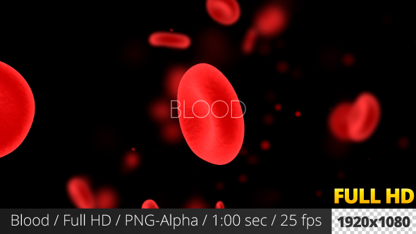 Blood, Motion Graphics | VideoHive