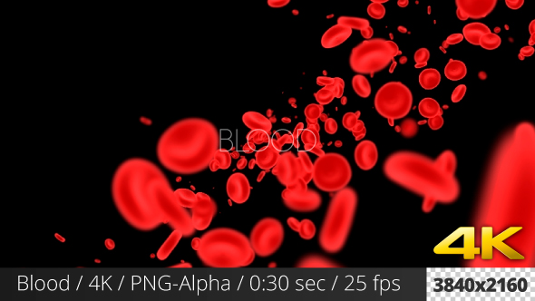 Blood, Motion Graphics | VideoHive
