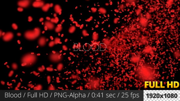 Blood, Motion Graphics | VideoHive