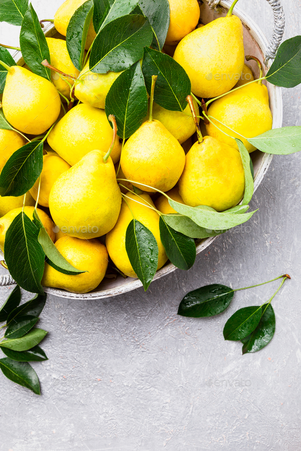 Yellow pear in grey basket in grey background. Harvest. Top view. Full ...