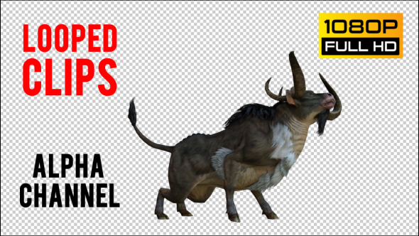 Buffalo 4 Realistic Pack 2, Motion Graphics | VideoHive