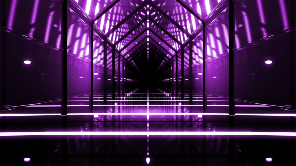 Purple Hallway, Motion Graphics | VideoHive