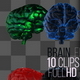 Brain Pack Vol 2, Motion Graphics | VideoHive